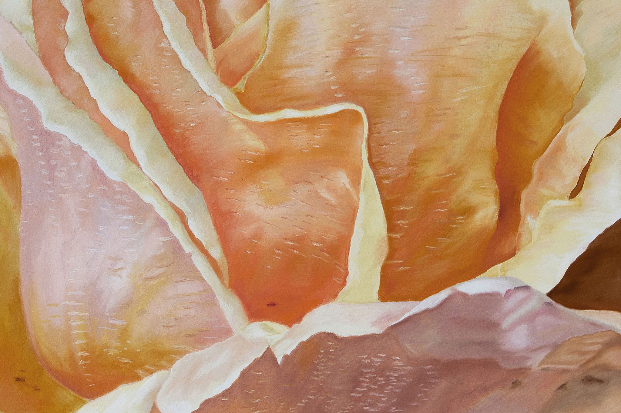 Peach-Rose-Tania-Alexander-24-x-36 - Tania Alexander Art